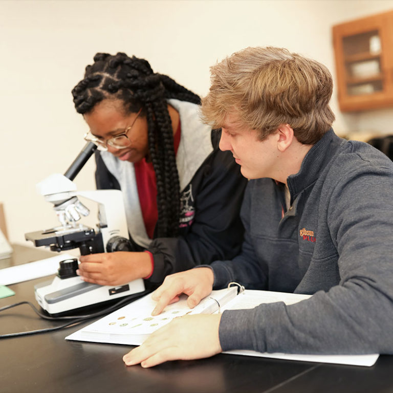 Associate Degree Nursing - Holmes Community College